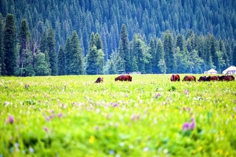 Duku Highway Travel Guide | Epic Xinjiang Road Trip Route - China ...
