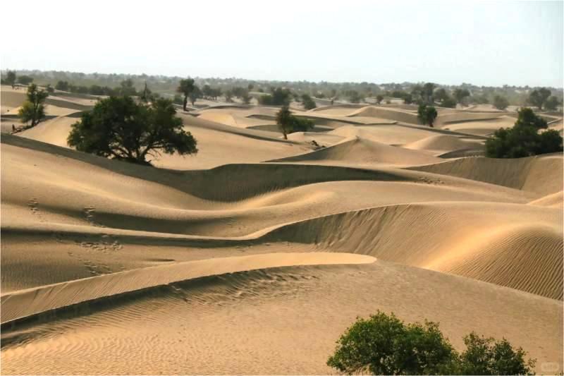 Taklamakan Desert: Safe Travel Guide - China Dragon Travel