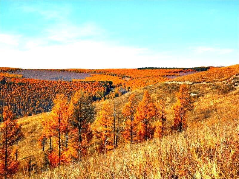 Top 10 Must-Visit Places in Southern Xinjiang: Desert, Canyons ...