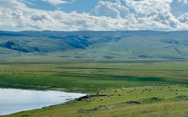 Qinghai Lake Ultimate Travel Guide – Sunrise Spots, Transport, Hidden ...