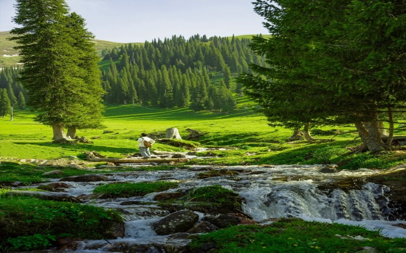 How to Visit Nalati Grassland: Complete Guide to Aerial Grassland ...