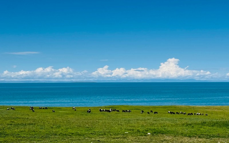 Qinghai Lake Ultimate Travel Guide – Sunrise Spots, Transport, Hidden ...