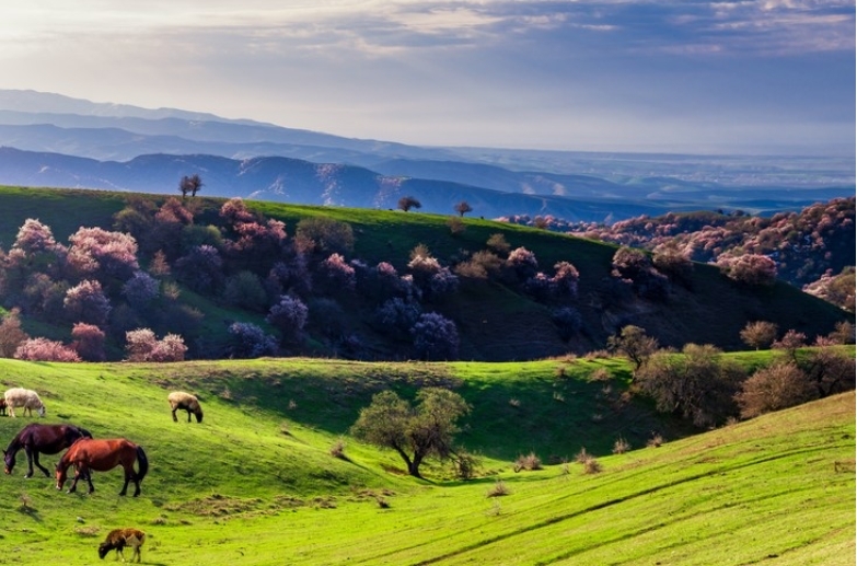 Is Xinjiang Weather Suitable for Travel in April? Climate ...