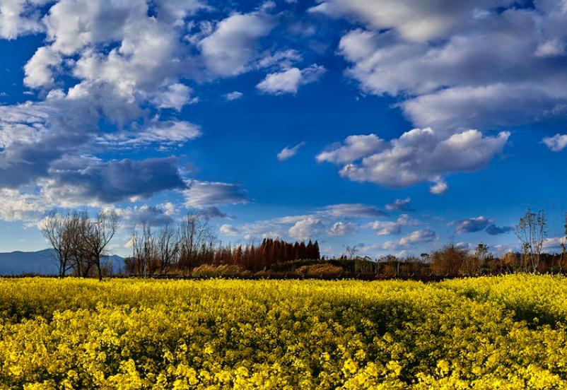 Yunnan Lijiang January Weather Conditions and Travel Notes for Visitors ...