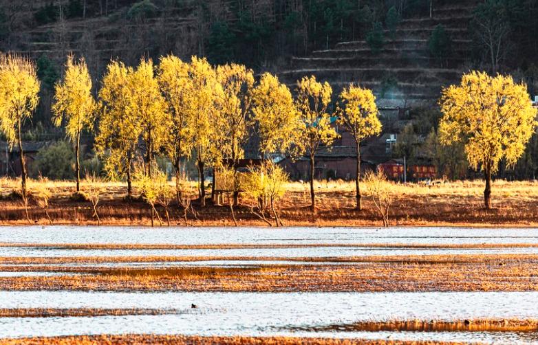 Pleasant Yunnan Weather in February: A Complete Climate Guide for Warm ...