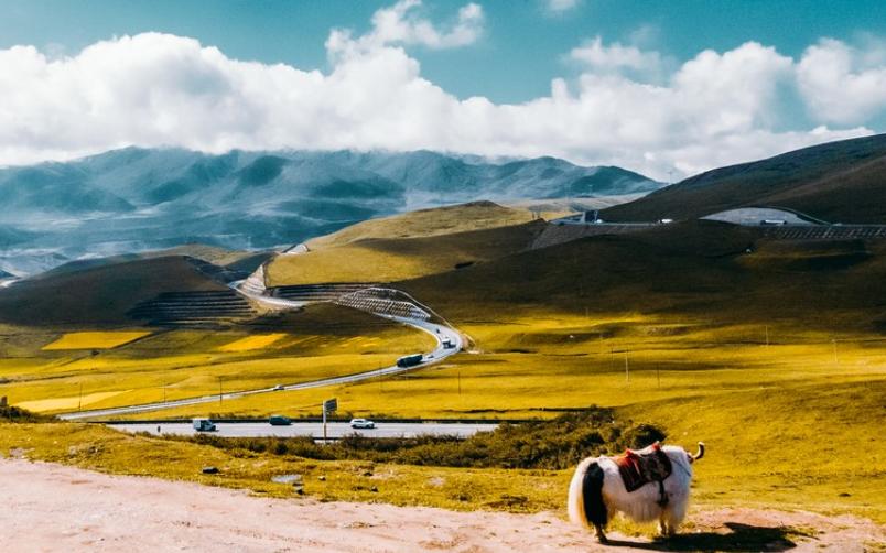 Beijing to Lhasa Train Guide – 2026 Latest Schedules, Ticketing ...