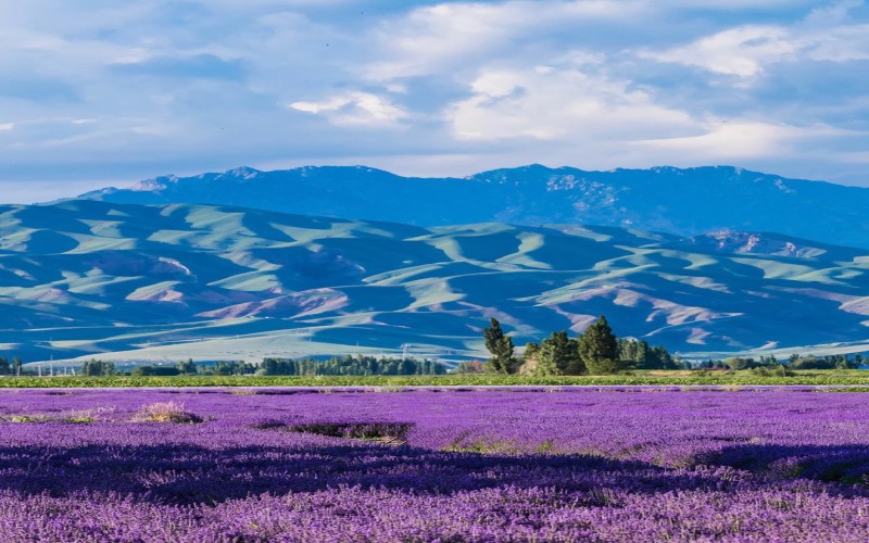 Best Time to Visit Xinjiang | Ultimate Seasonal Travel Guide to ...